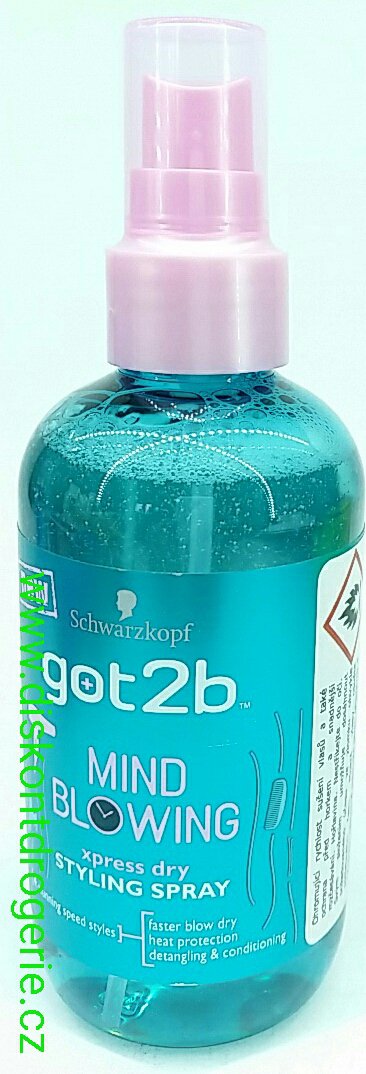 GOT2B MD BLOWING xpress dry styling spray 200ml pump : Drogerie ...